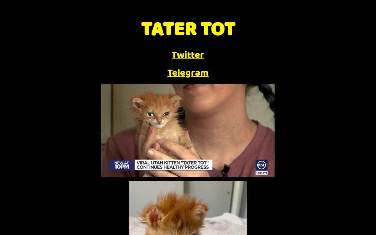 Tater Tot